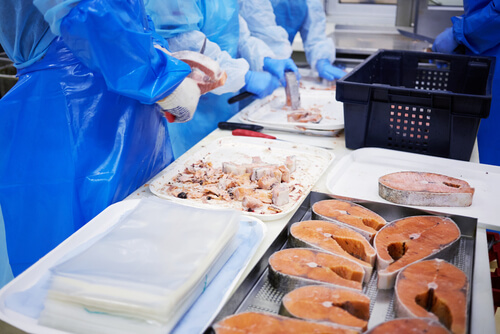 NC Law | Common Injuries for Food Processing Plant Employees